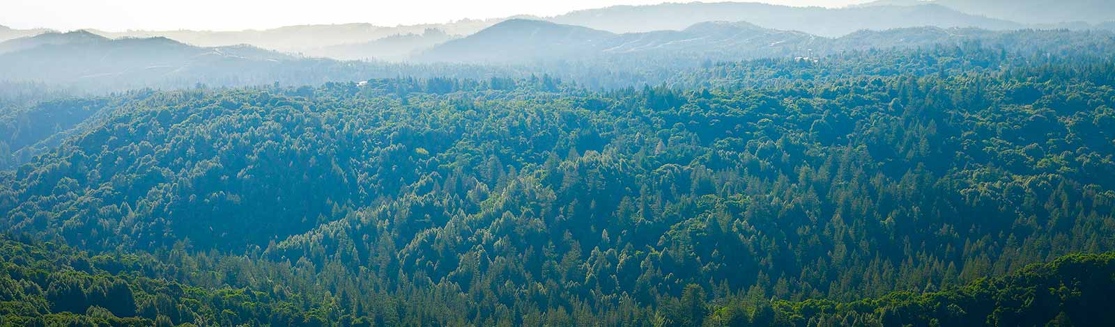 Contact - Heising-Simons Foundation