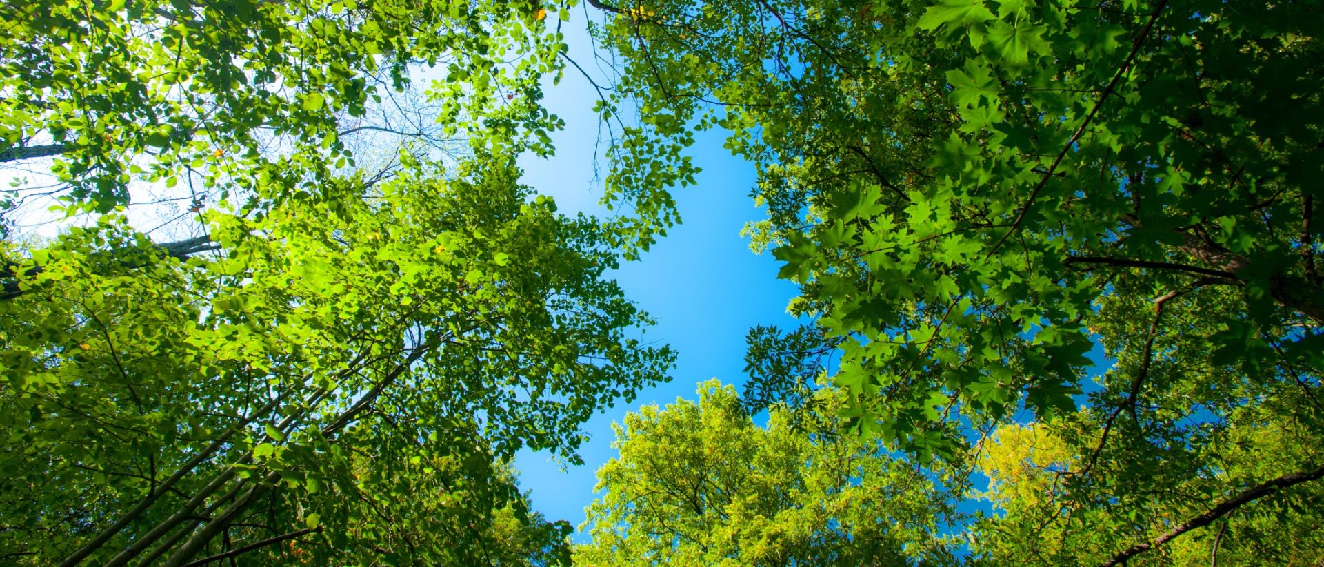 Sustainable Work Practices - Heising-Simons Foundation